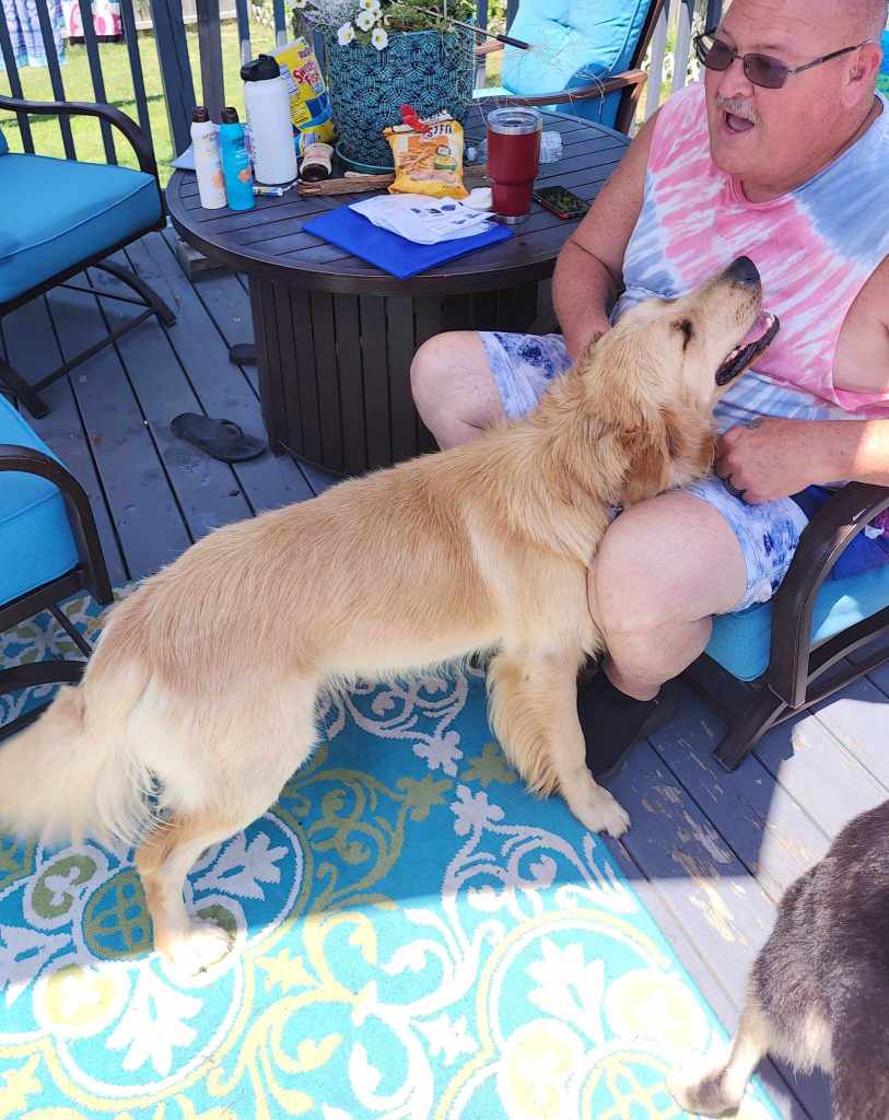 Available Dogs – Mountain Rottie Rescue